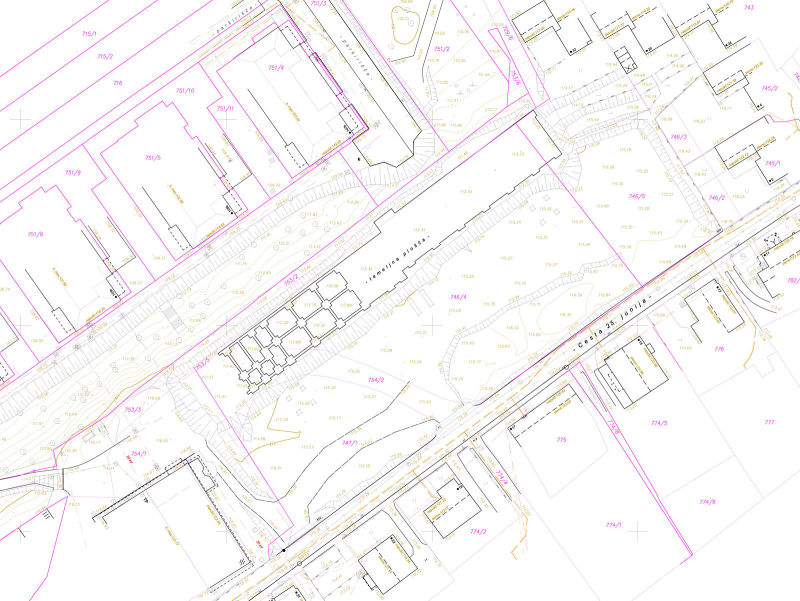 Geodetski posnetek in karte -Dezis